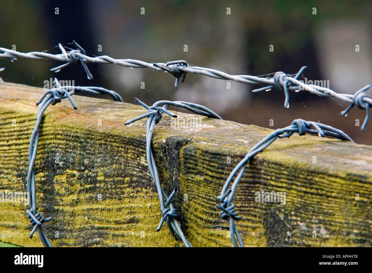 Barbed wire around fence gate hi-res stock photography and images - Alamy