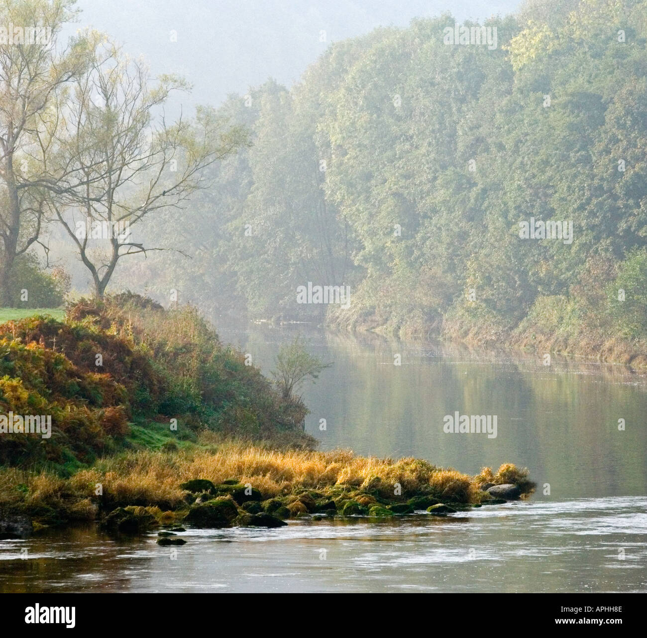 Beautiful morning river landscape dawn hi-res stock photography and ...