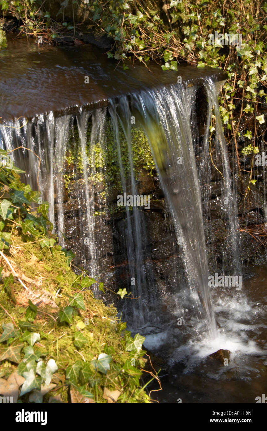 Grizedale forest hi-res stock photography and images - Alamy