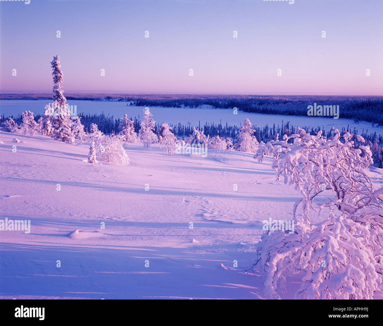Canadian shield taiga boreal forest hi-res stock photography and images ...