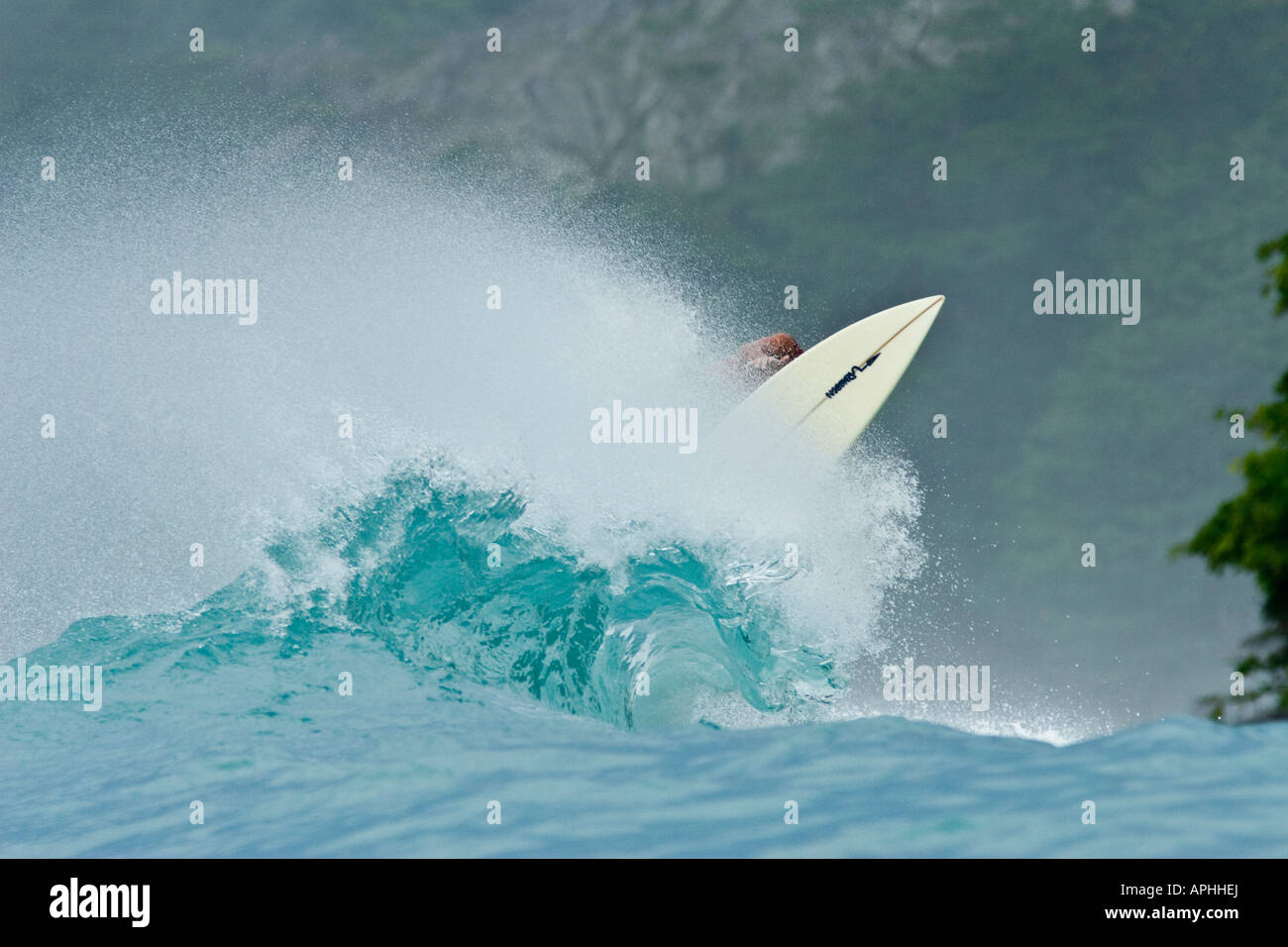 A surfer on a surfboard explodes from backwash, a famous break in the ...