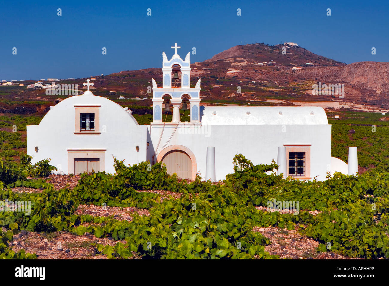 Pretty little church amidst grape-vines "Santorini Stock Photo - Alamy