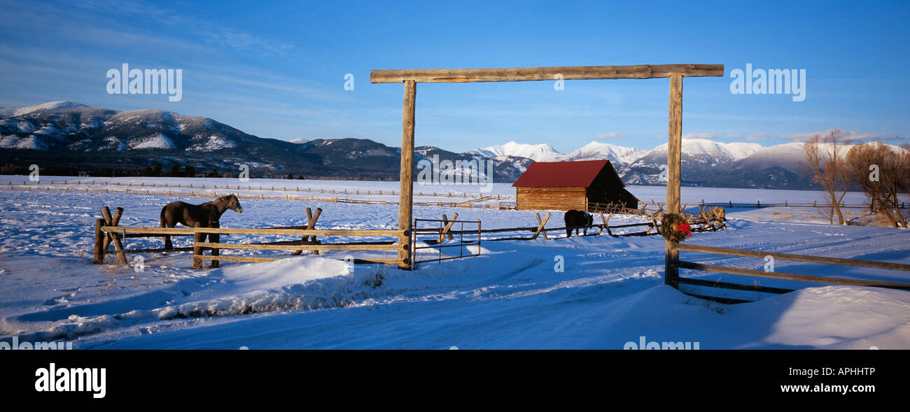 Winter panoramic ranch scene, Montana USA Stock Photo - Alamy