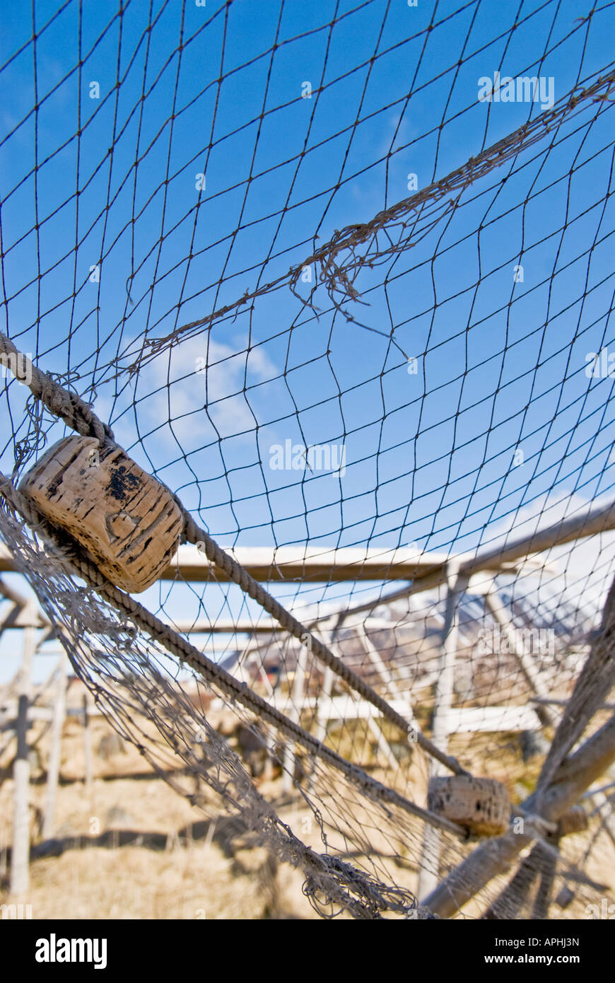 Old torn fishing net hanging from empty stockfish drying rack ...