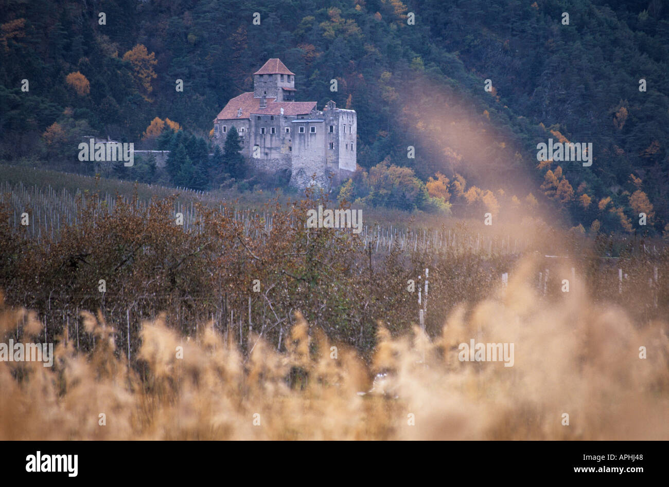 Schloss dornsberg hi-res stock photography and images - Alamy