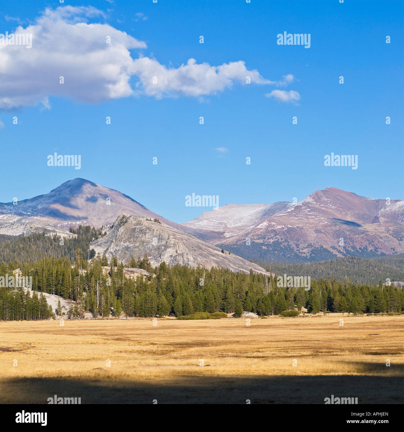 Dana Peak Park High Resolution Stock Photography and Images - Alamy