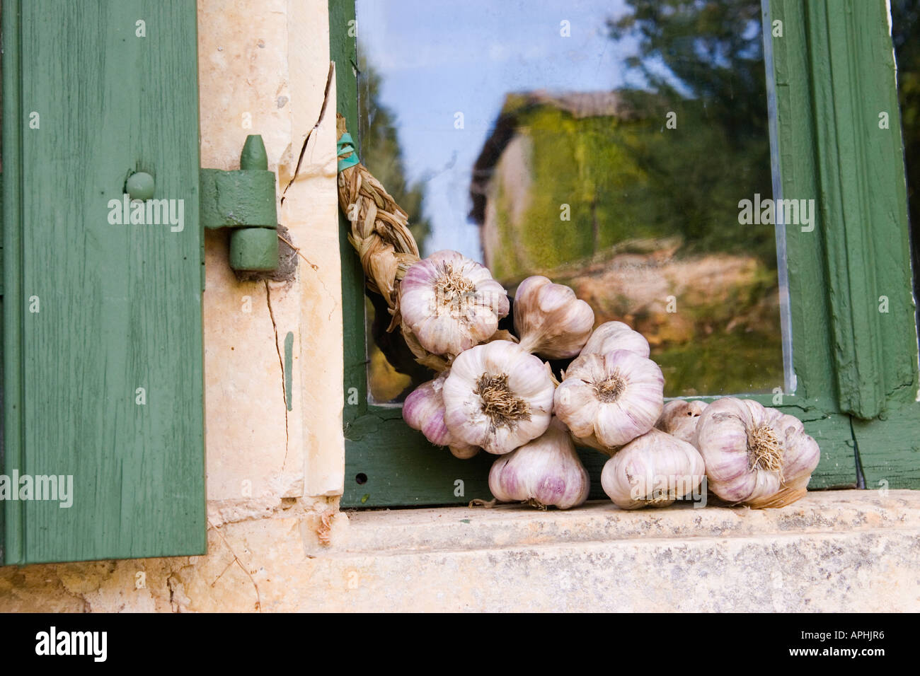Tress of garlic resting on French window ledge Stock Photo - Alamy