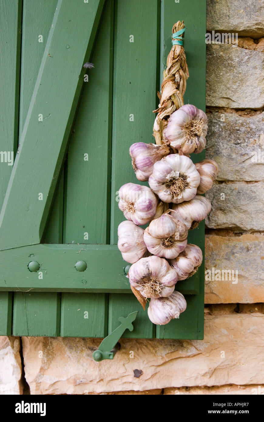 Tress of garlic hanging by green wooden window shutter of old farmhouse ...
