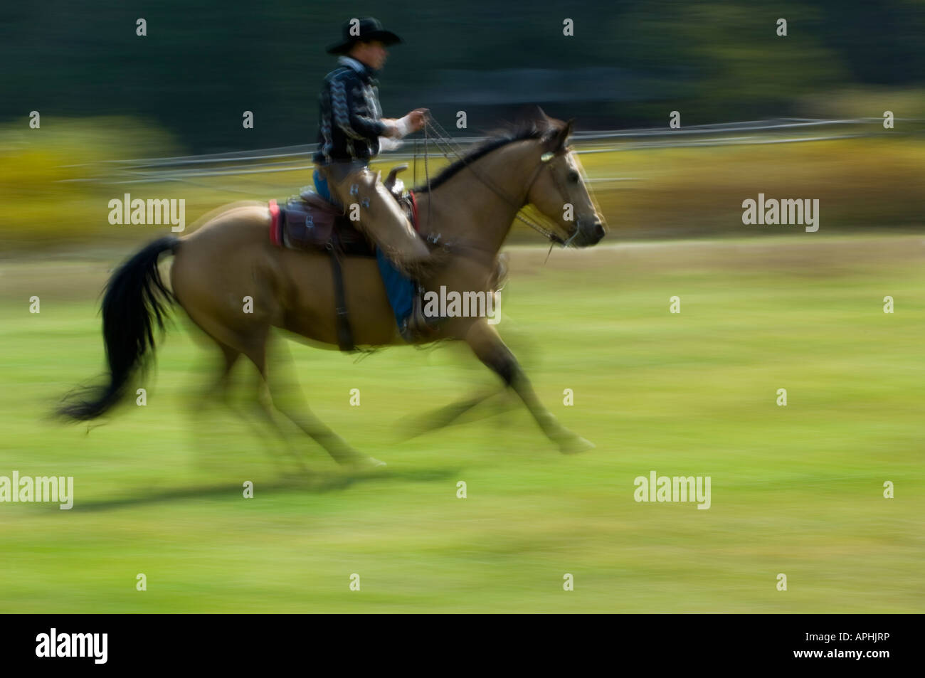 Horse and Rider Montana Stock Photo - Alamy