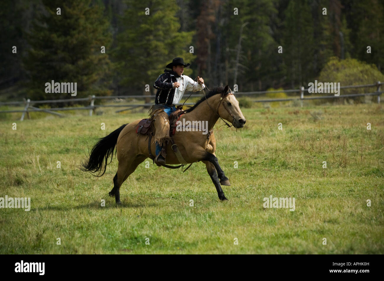 Horse and Rider Montana Stock Photo - Alamy