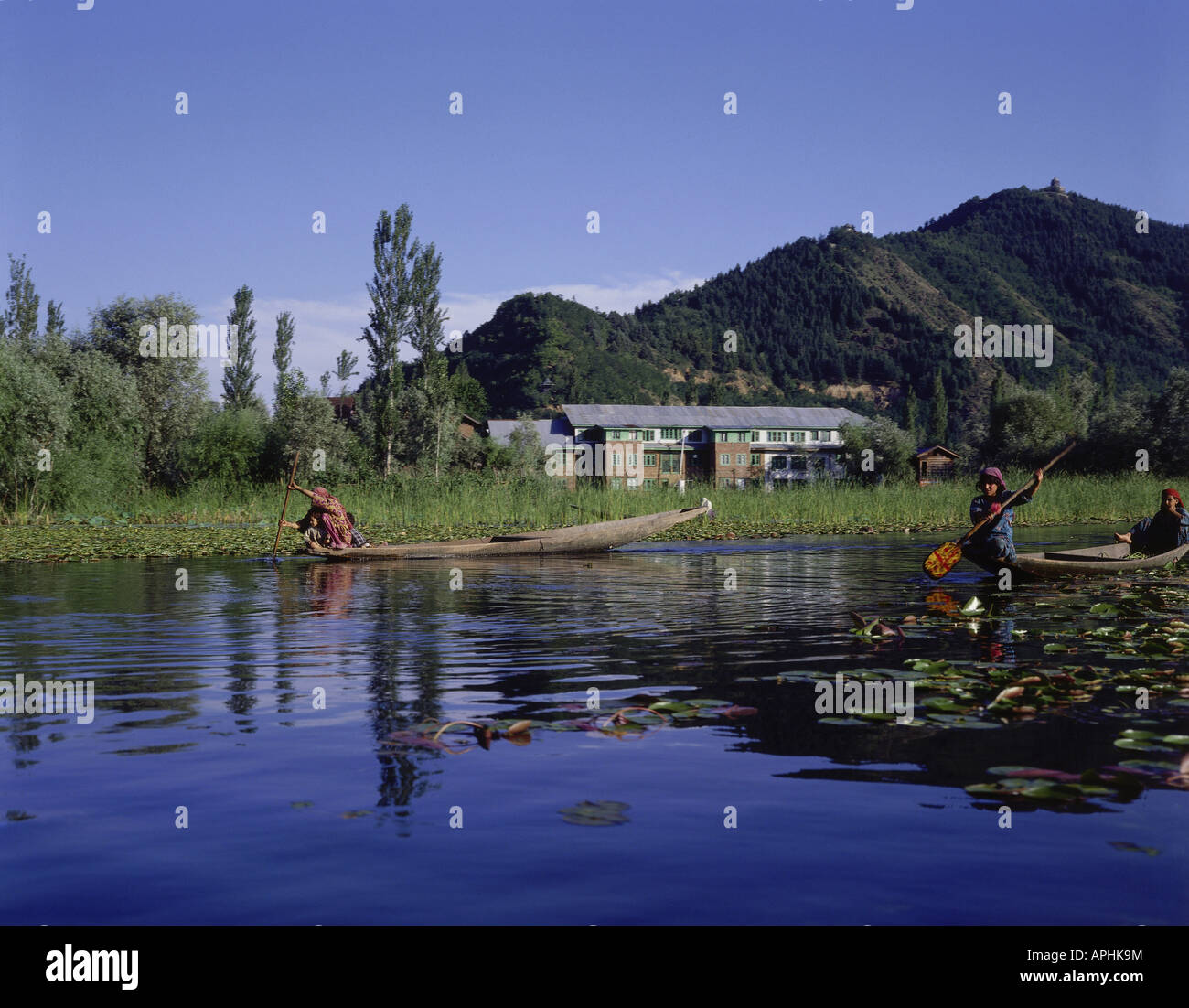 geography / travel, India, Cashmere, landscapes, Lake Dal in the valley ...