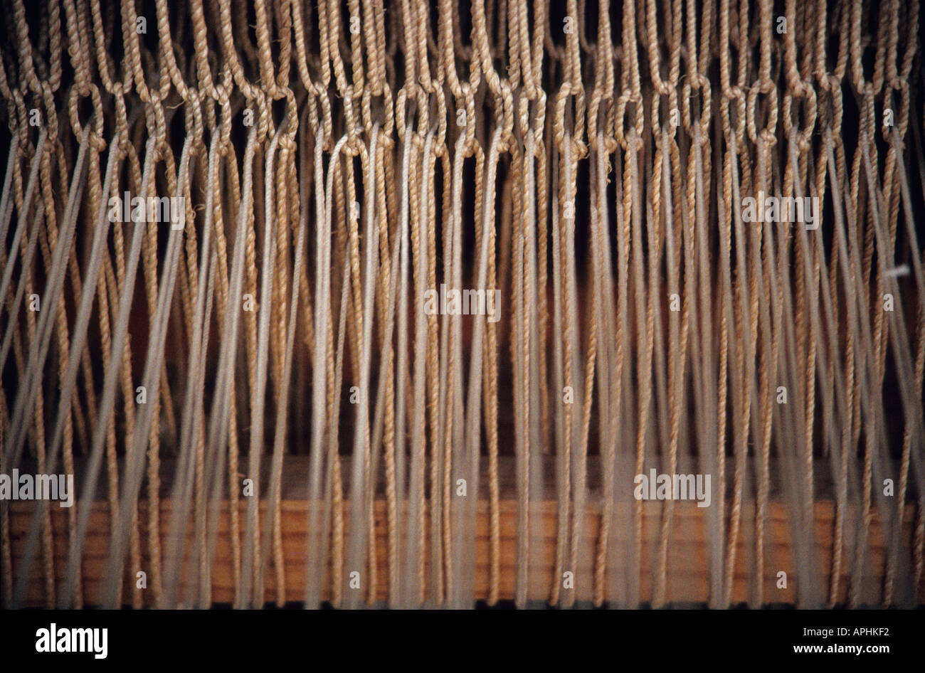Weaving warp close up Stock Photo - Alamy