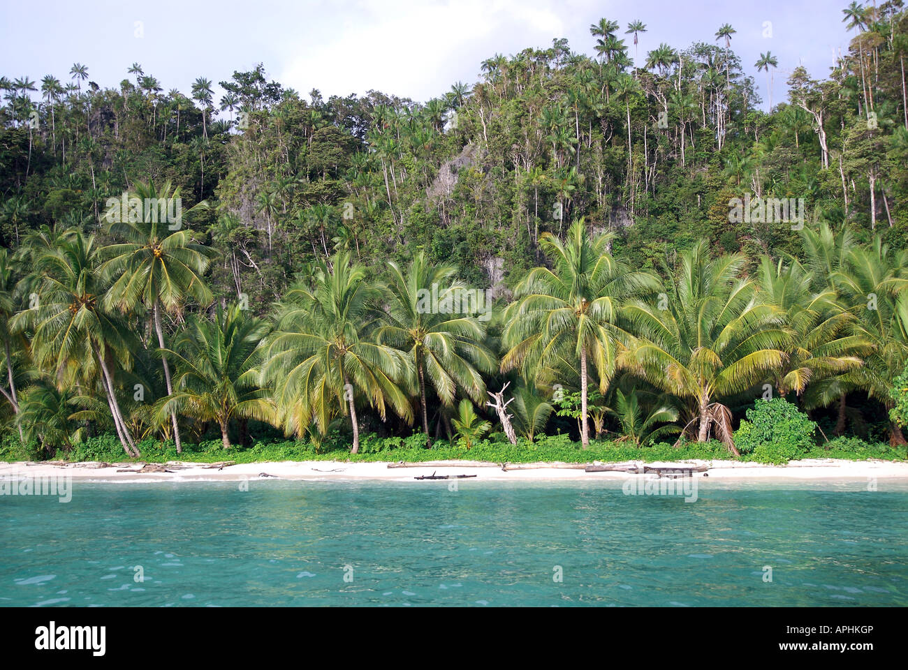 Tropical Indonesian jungle leading to pristine beaches in the Triton ...