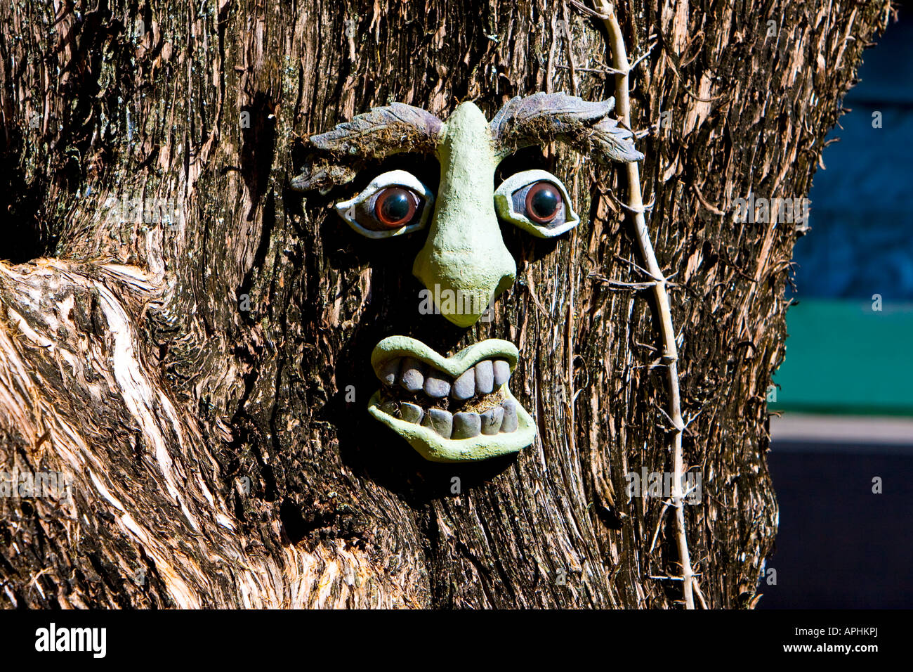 Abstract Face in Tree Bark Stock Photo - Alamy