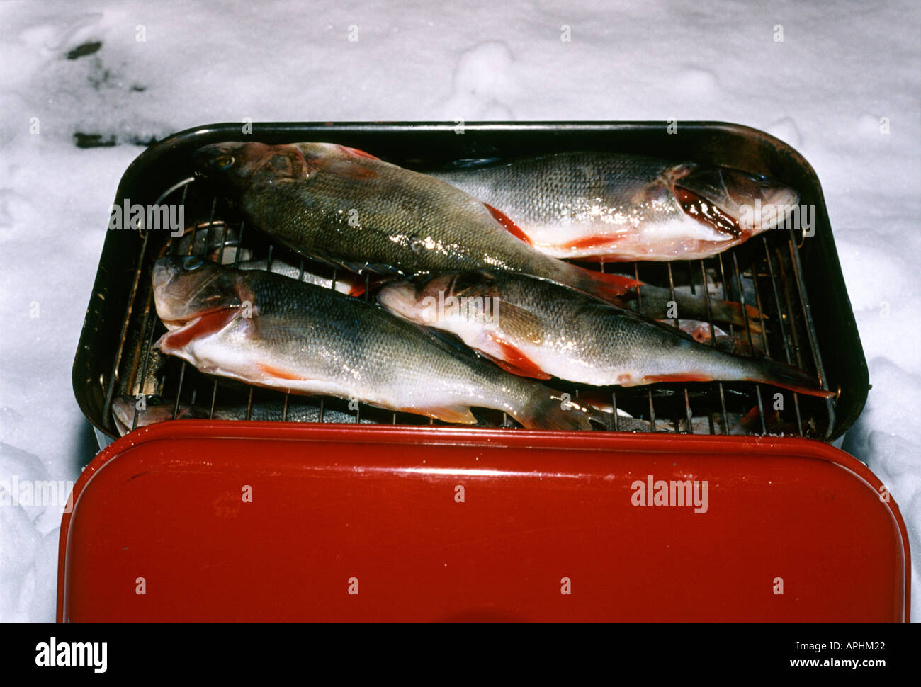 Platlada hi-res stock photography and images - Alamy