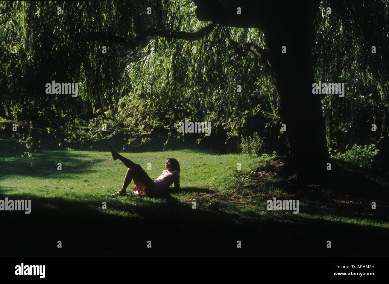 Young woman lying under tree hi-res stock photography and images - Alamy
