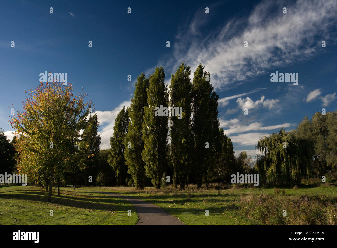 River colne riverside walk hi-res stock photography and images - Alamy