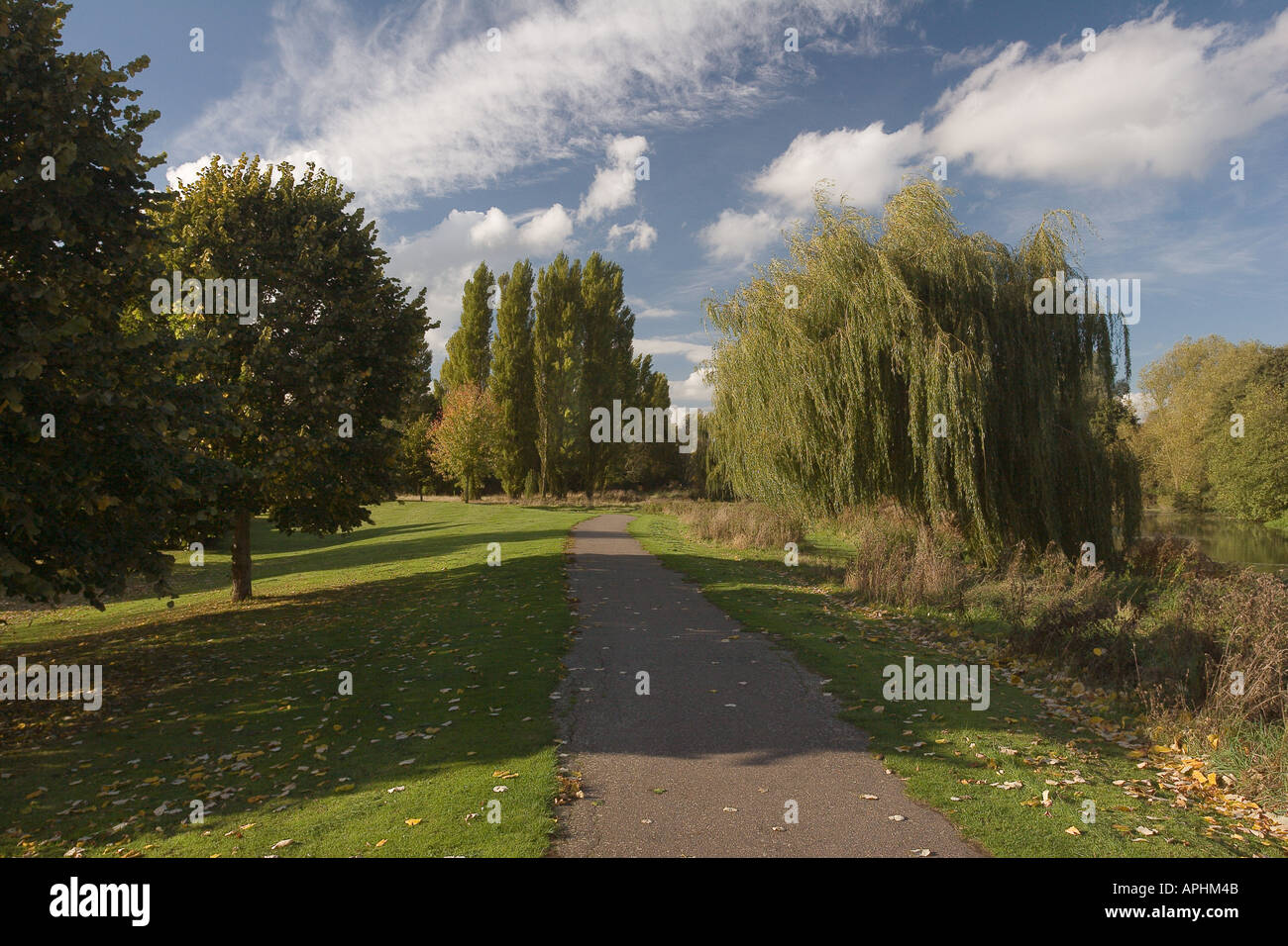 River colne riverside walk hi-res stock photography and images - Alamy
