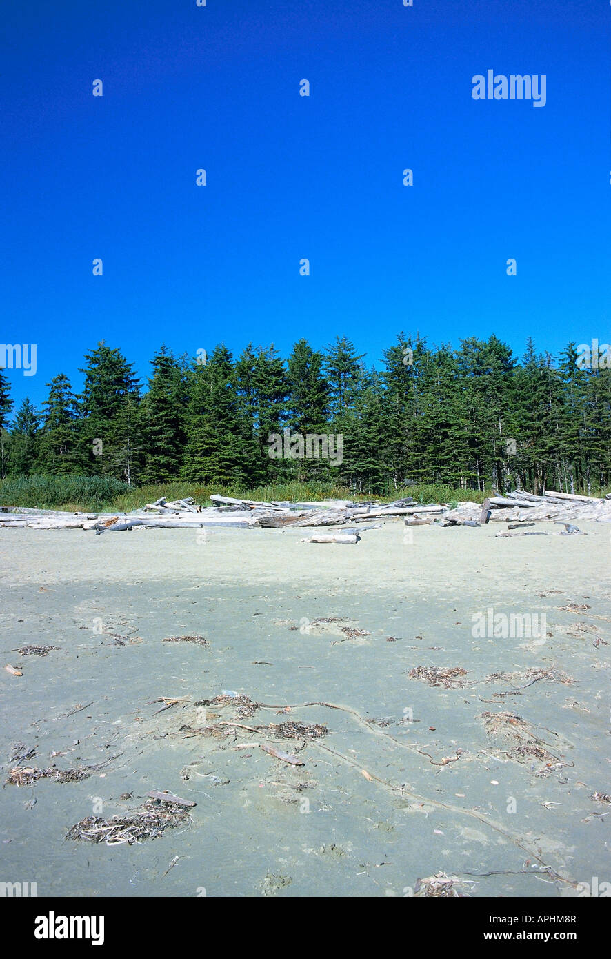 Pacific Rim Vancouver island Stock Photo - Alamy