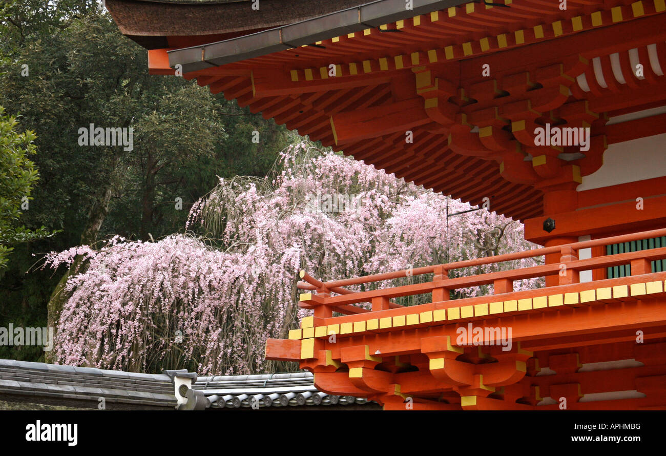 Kasuga Shrine in Nara, Japan Stock Photo - Alamy