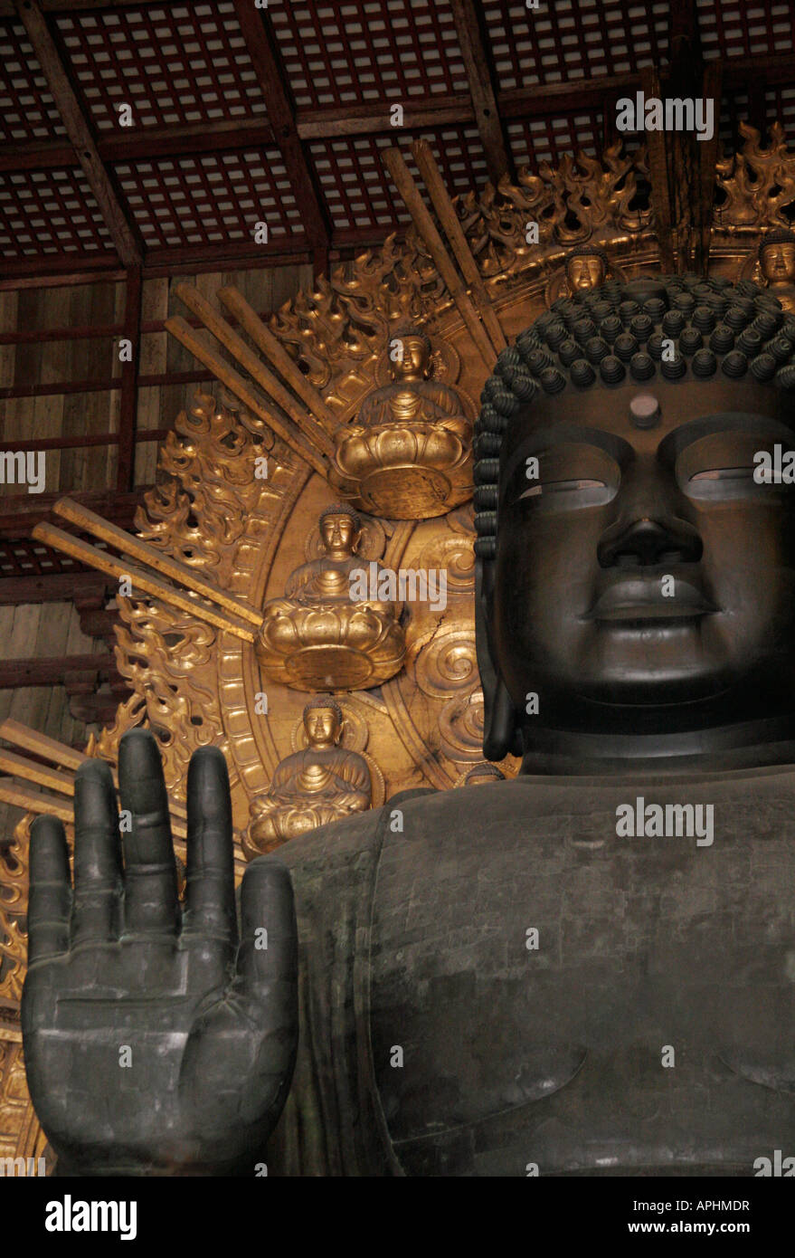 The Great Buddha in Daibutsu-den (Great Buddha Hall) Todaiji Temple ...