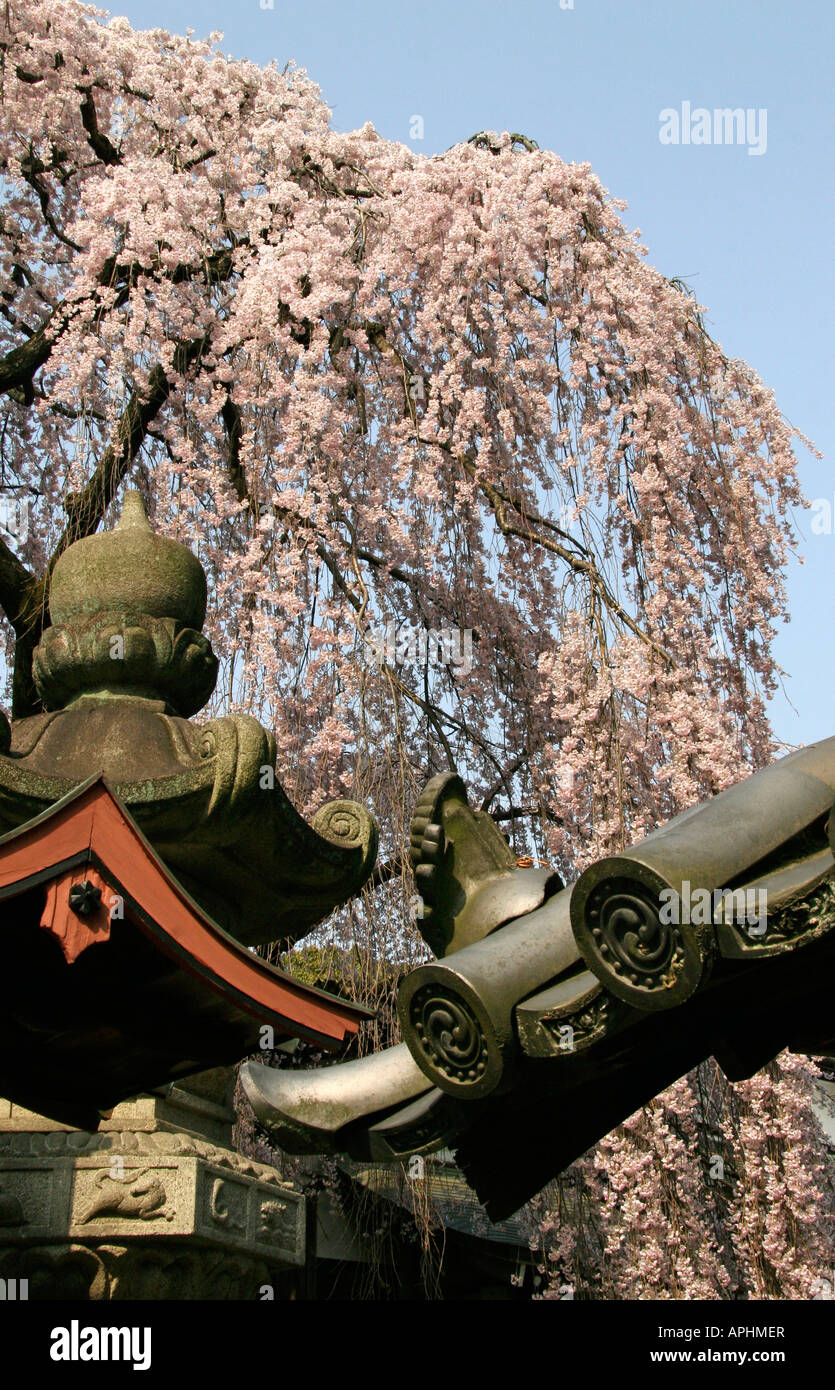 Japanesetemples hi-res stock photography and images - Alamy
