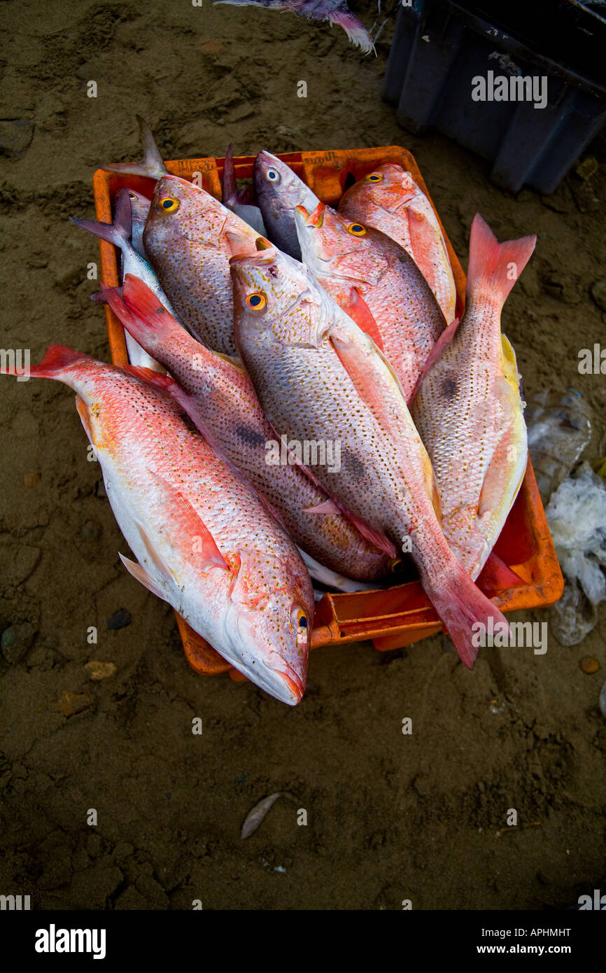 Bouillabaisse beach High Resolution Stock Photography and Images - Alamy