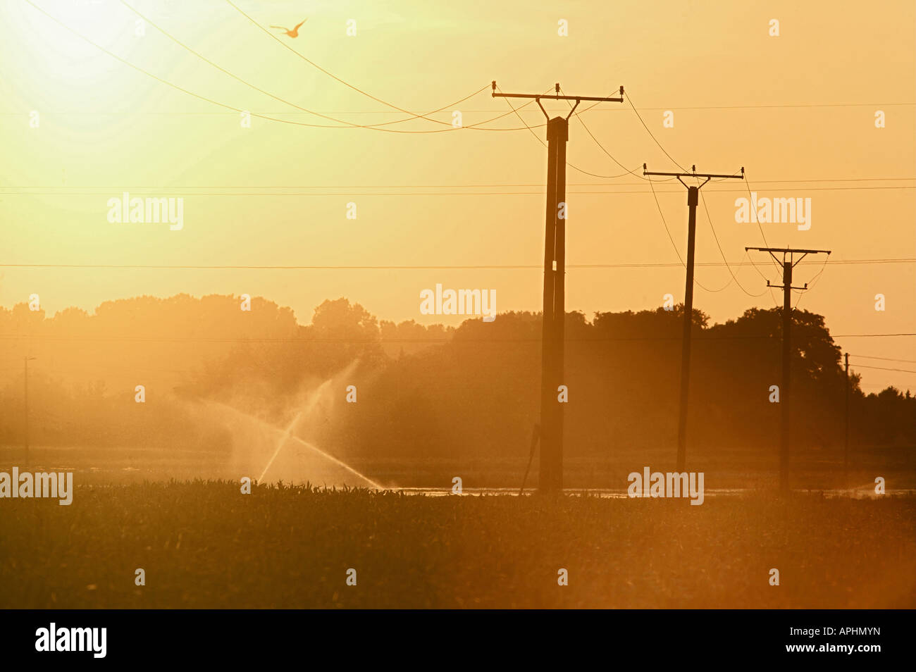 agriculture farmland sprinkle electricity electricity cable electrical ...