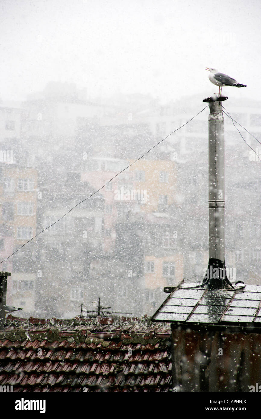Urban snow scene, Istanbul, Turkey Stock Photo - Alamy