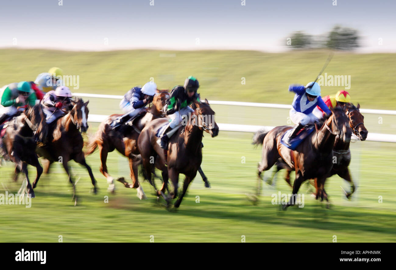 Horse racing UK; Flat race, Newmarket July Race Course, Suffolk ...