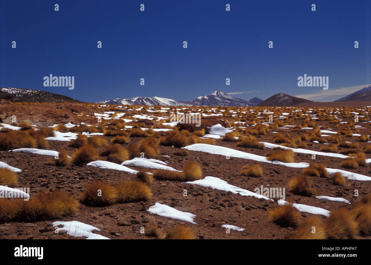 Snow covered Siloli desert and mountains in Bolivia Stock Photo - Alamy