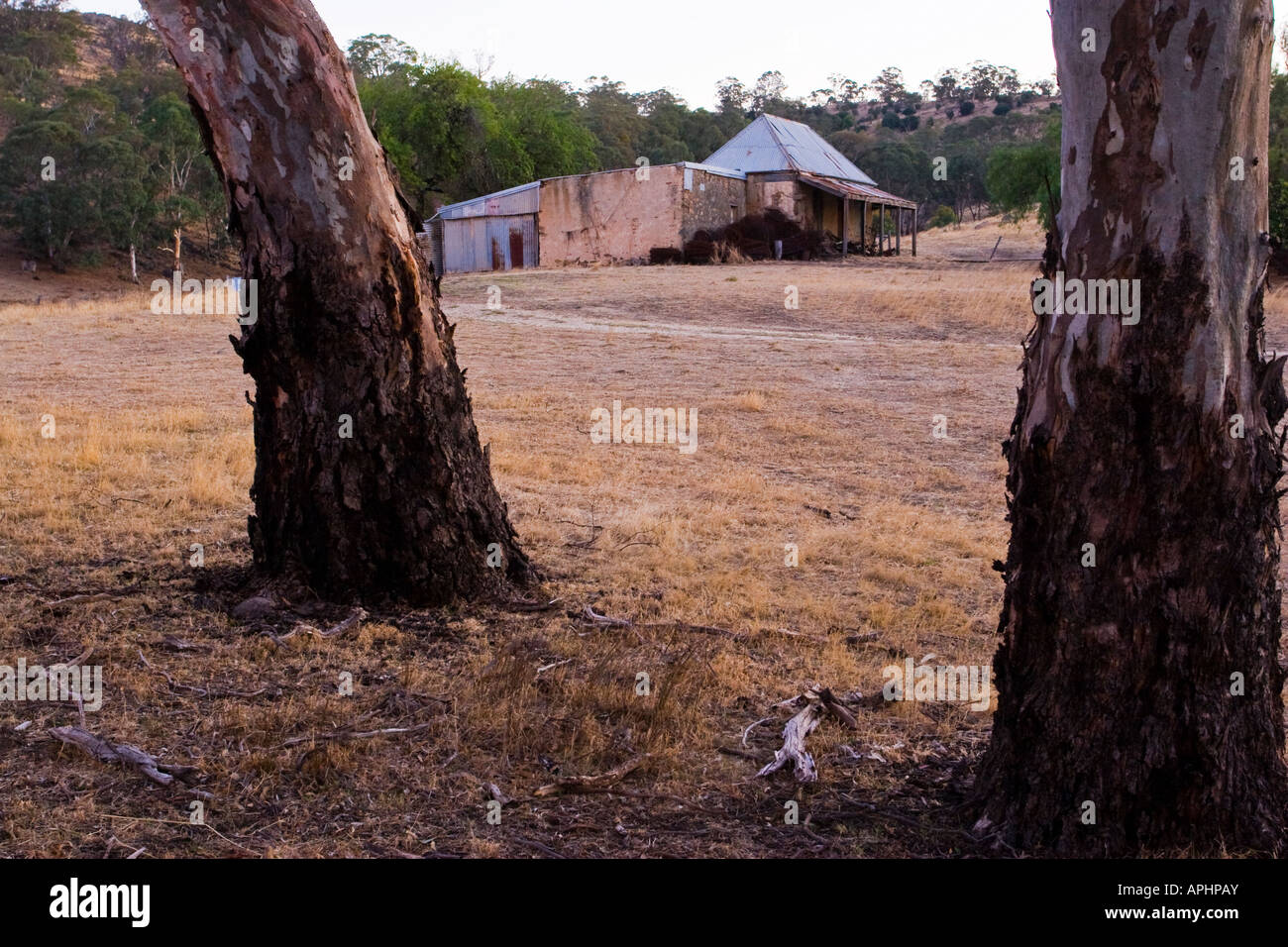 Australian homestead ruins hi-res stock photography and images - Alamy