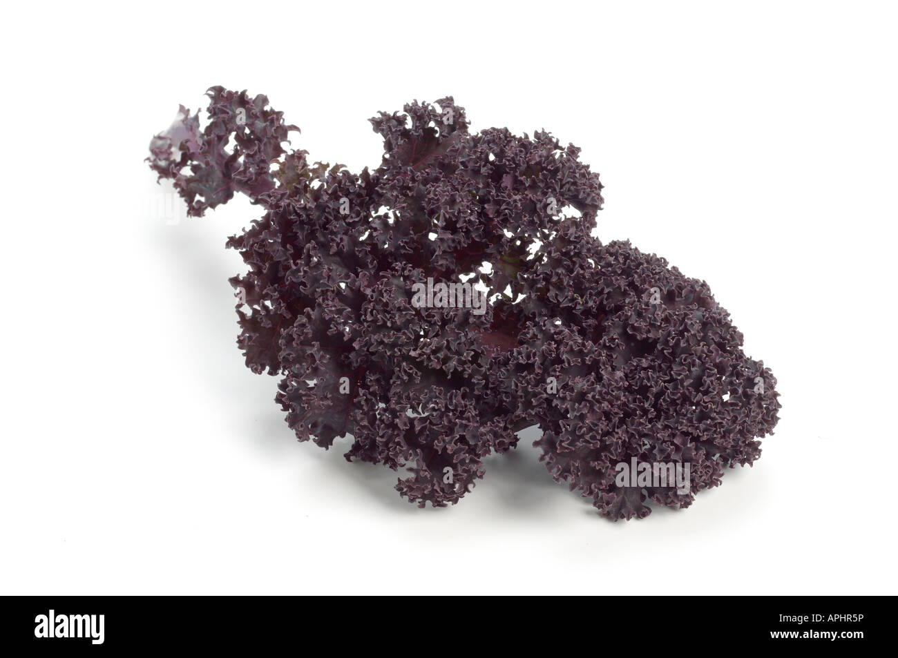 Purple kale hi-res stock photography and images - Alamy