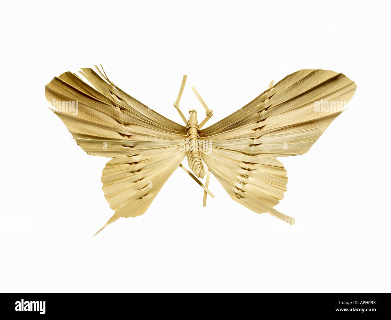 Legs of butterfly Cut Out Stock Images & Pictures - Alamy