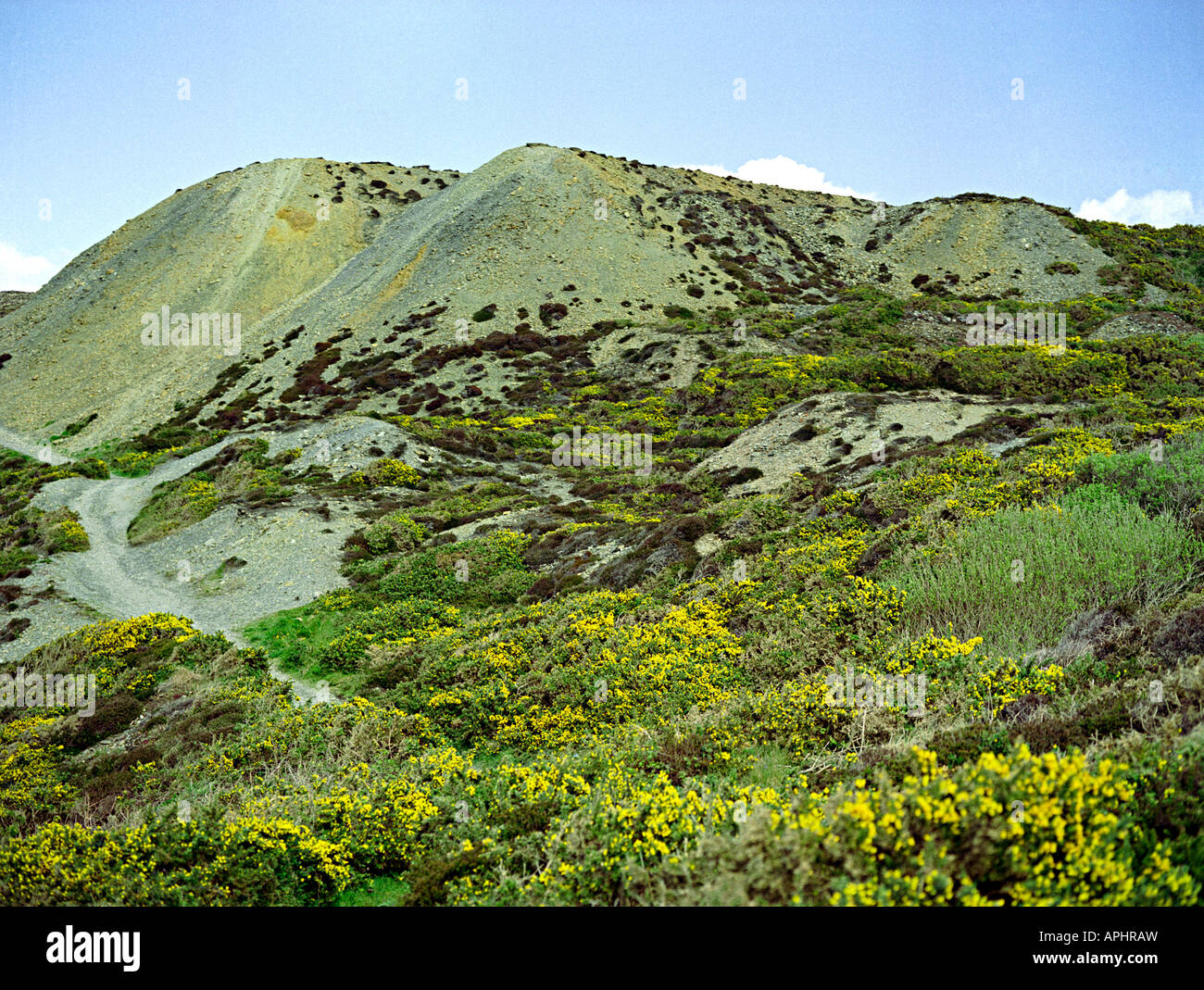 remnants of tine mine slag heaps on the south coast of cornwall Stock ...
