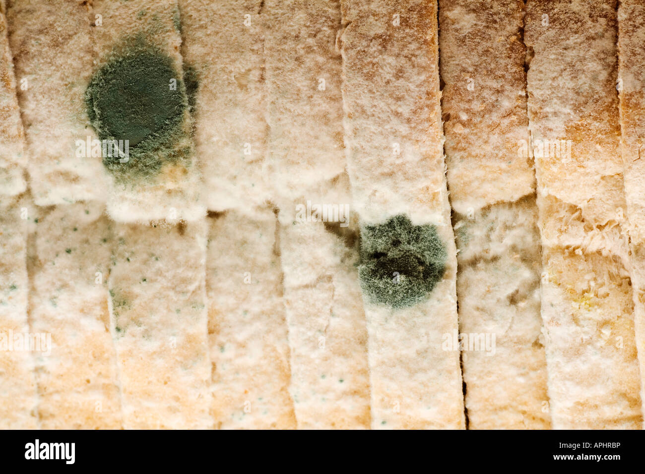 Mouldy loaf hi-res stock photography and images - Alamy
