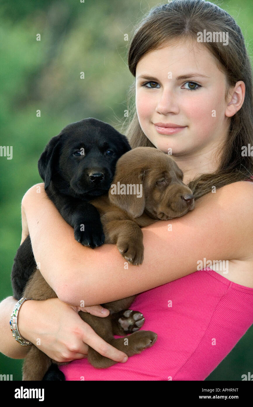 Teenaged girl holding Labrador retriever puppies Stock Photo - Alamy