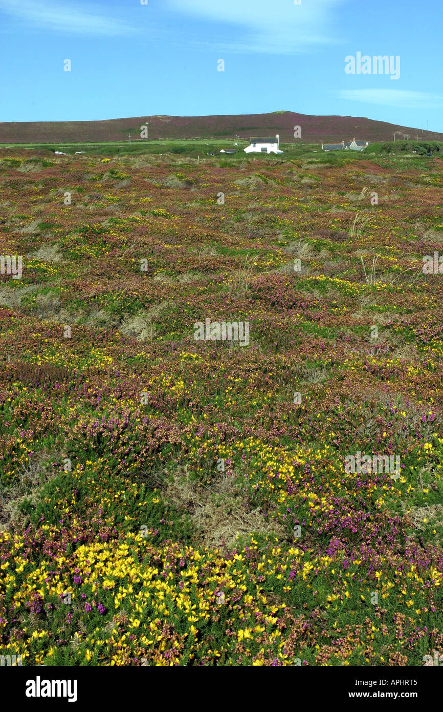 The Cornish countryside outside St Agnes Cornwall England Stock Photo ...