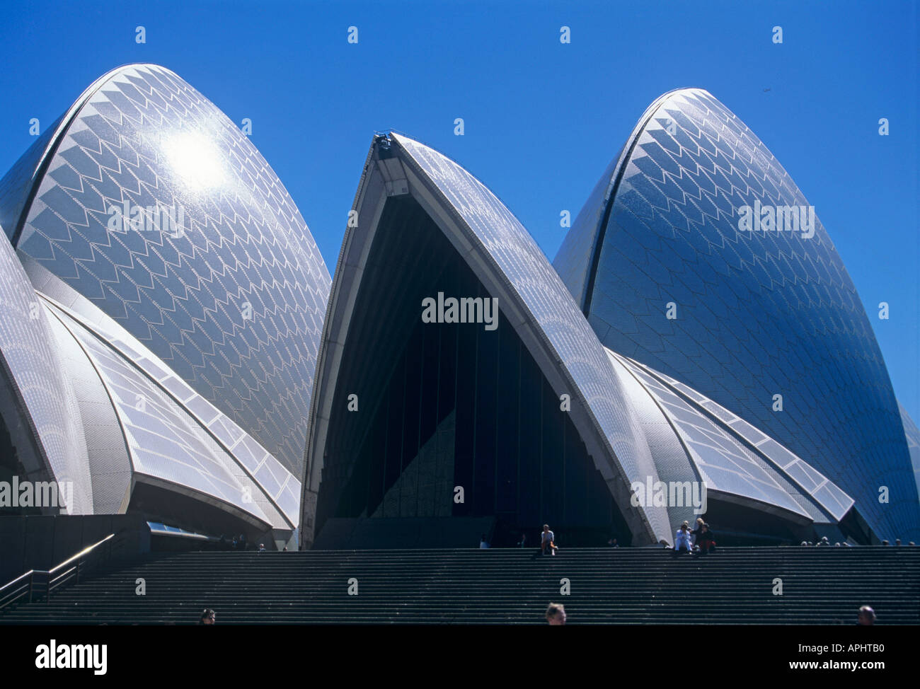 A close up of the sails on Sydney Opera House Australia Stock Photo - Alamy