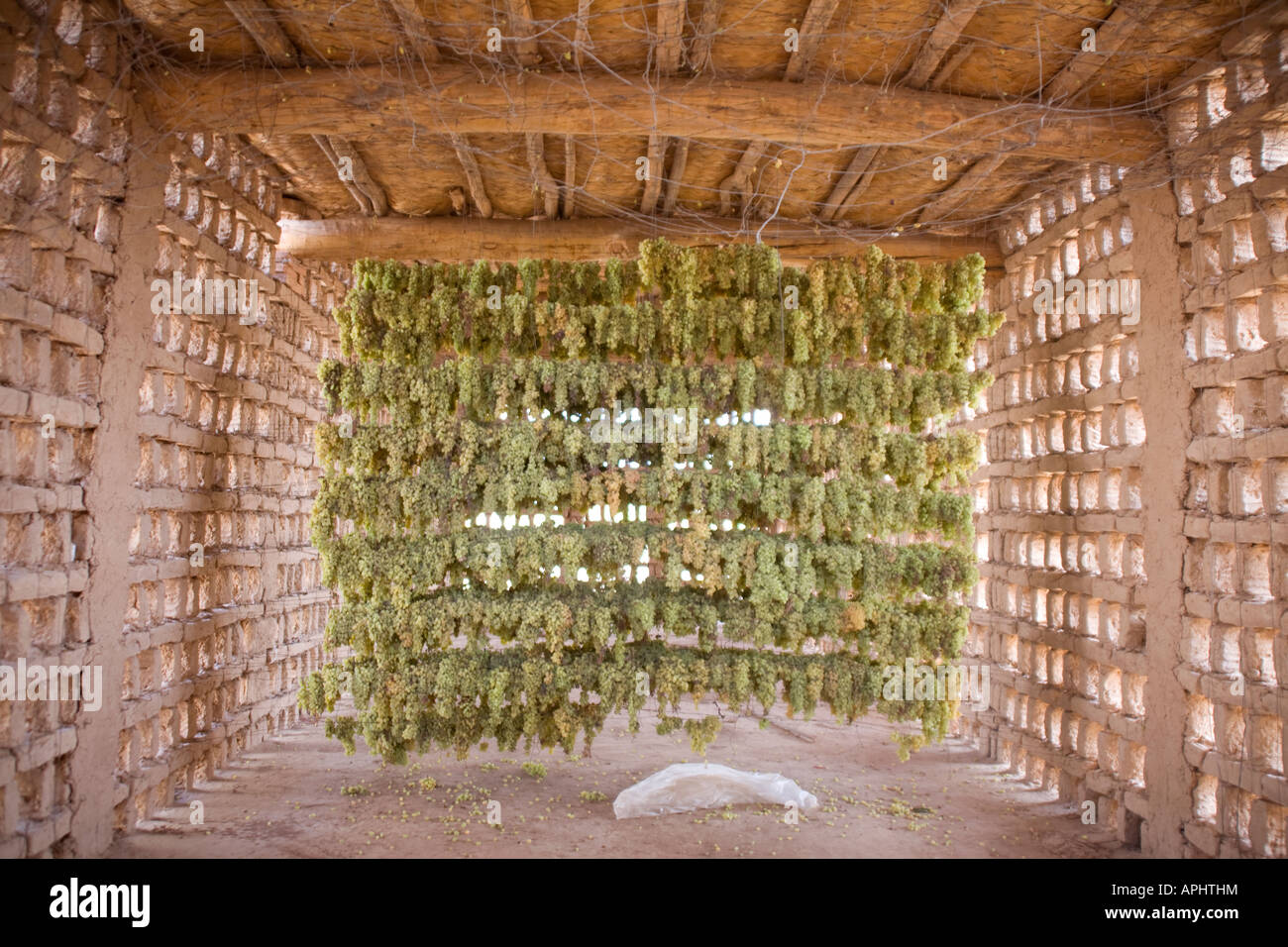 Silk Route China Xinjiang The Road to Turpan Grape Drying Area Sultanas ...