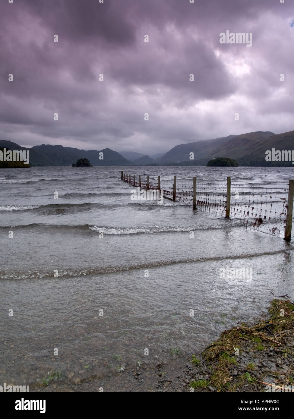 St herbert’s island hi-res stock photography and images - Alamy