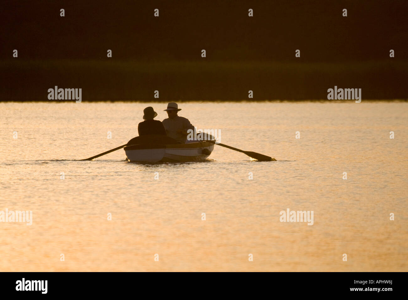 Two People Rowing a Boat at Sunset on Norfolk Broads Stock Photo - Alamy