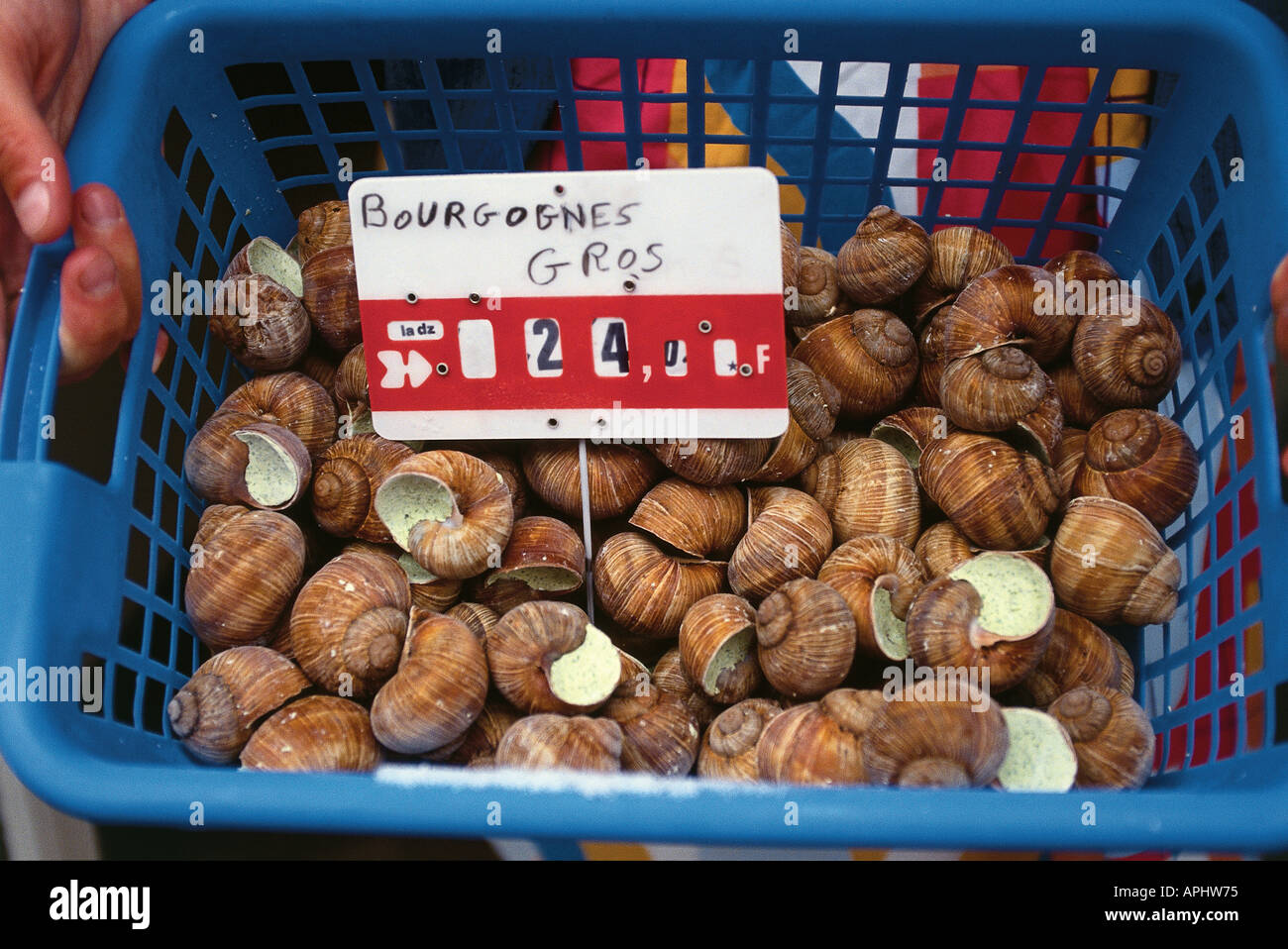 Snails on sale on a Parisian market stall France Stock Photo - Alamy
