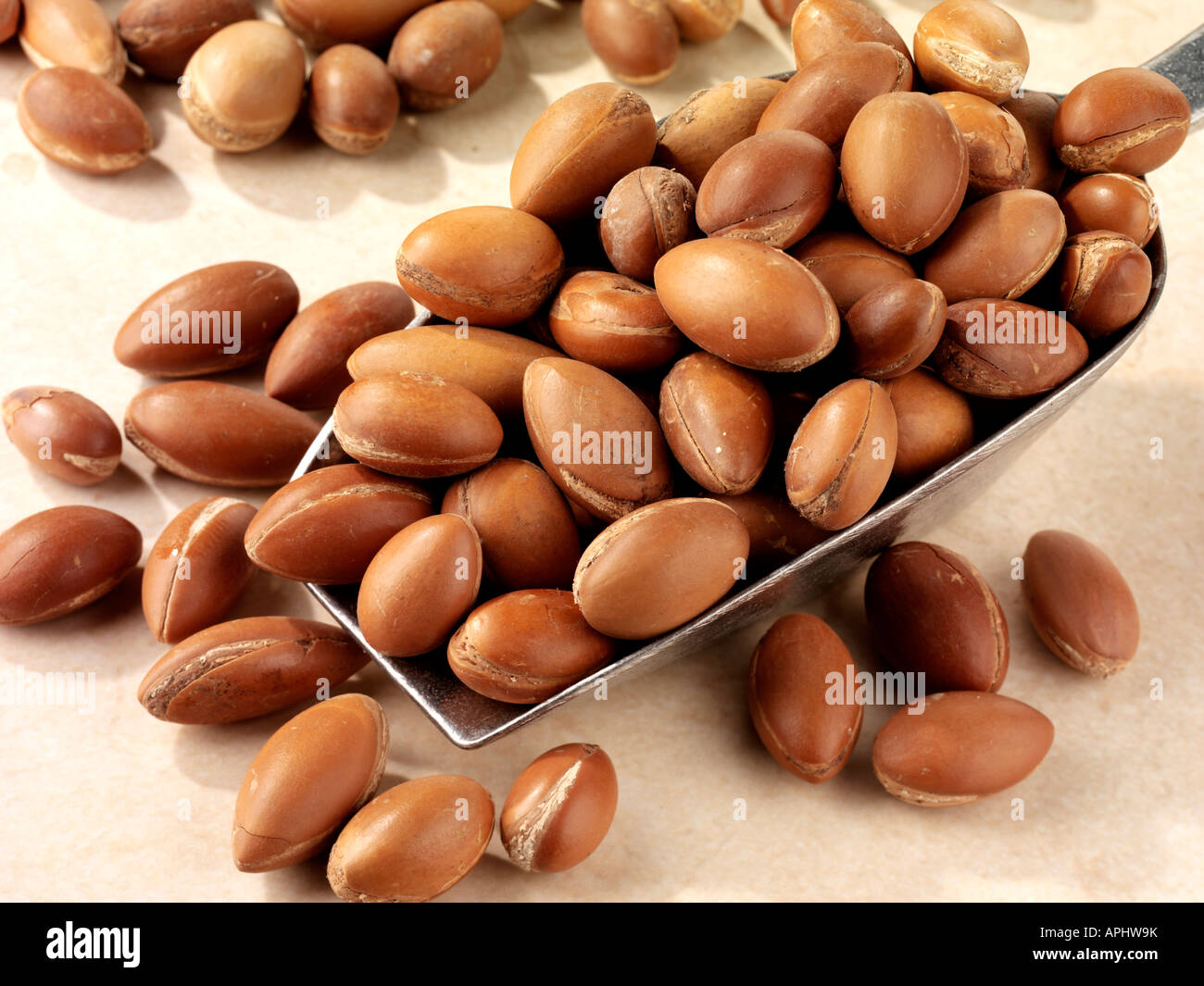 MOROCCAN ARGAN NUTS Stock Photo - Alamy