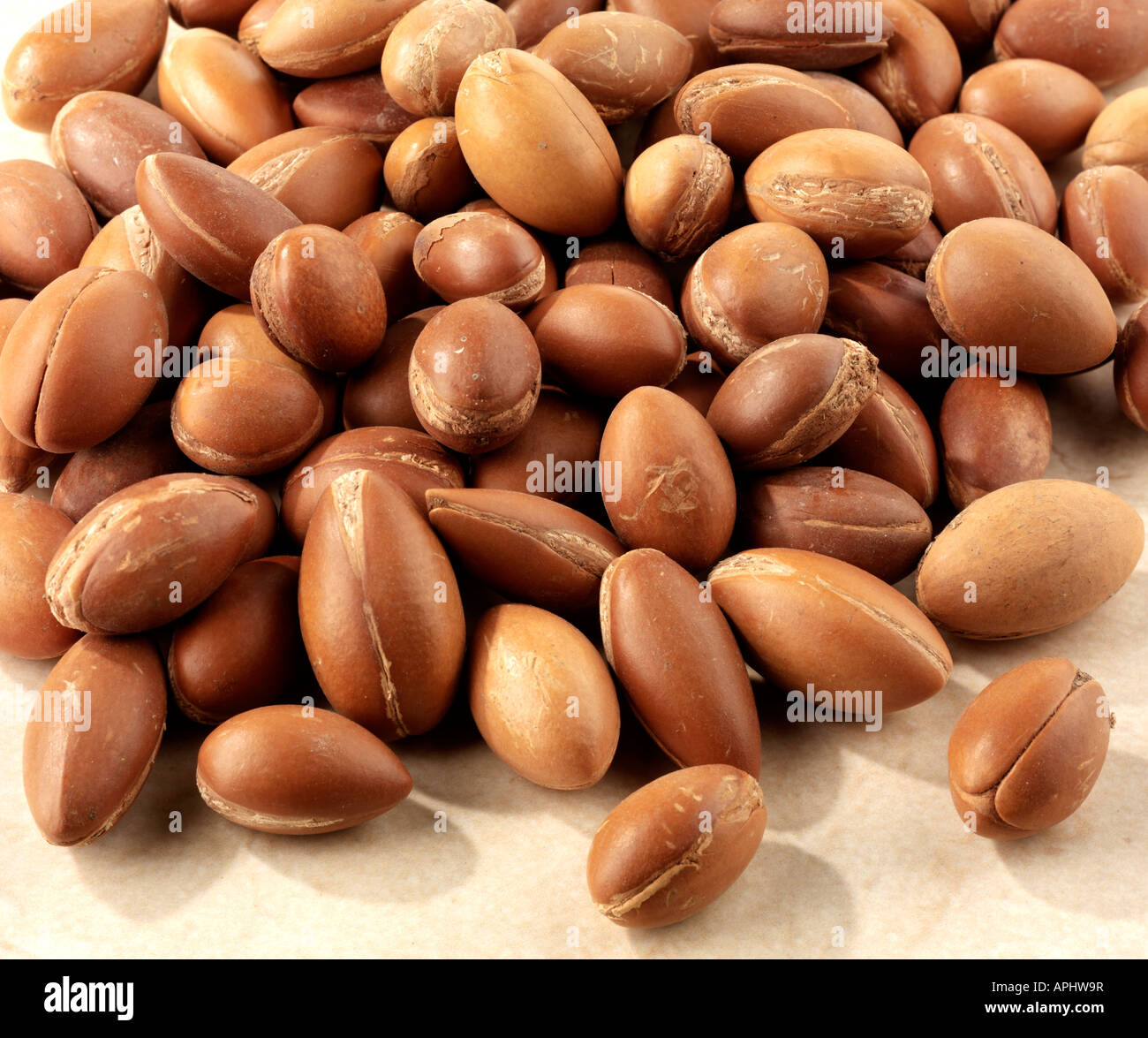MOROCCAN ARGAN NUTS Stock Photo - Alamy