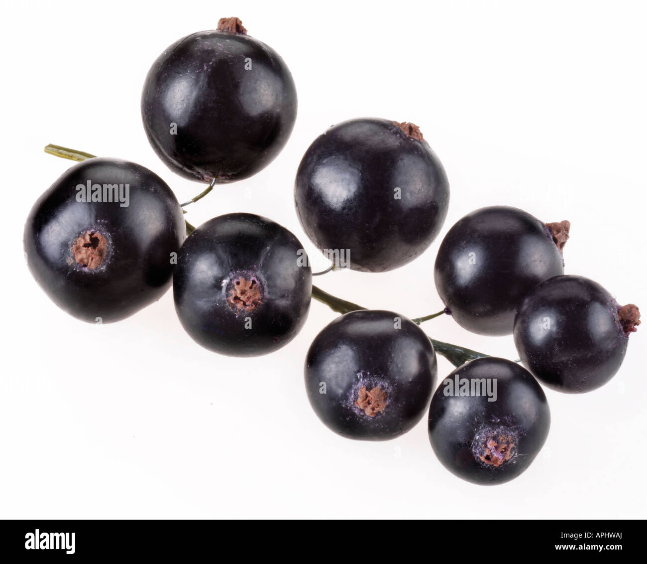 Black currant cassis hi-res stock photography and images - Alamy