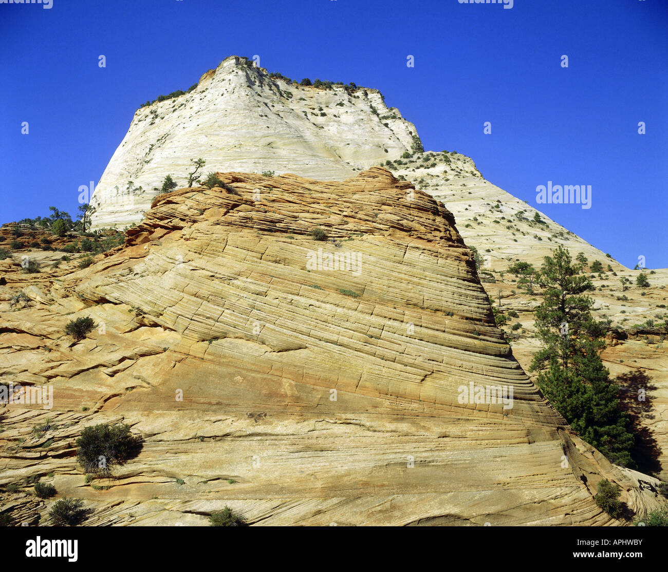 geography / travel, USA, Utah, Zion National Park, rutted by erosion ...