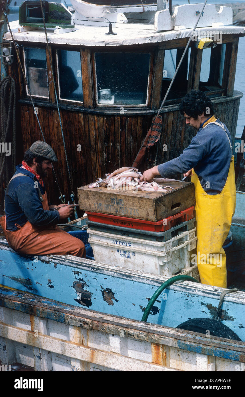 Scotland trawler fish catch hi-res stock photography and images - Alamy