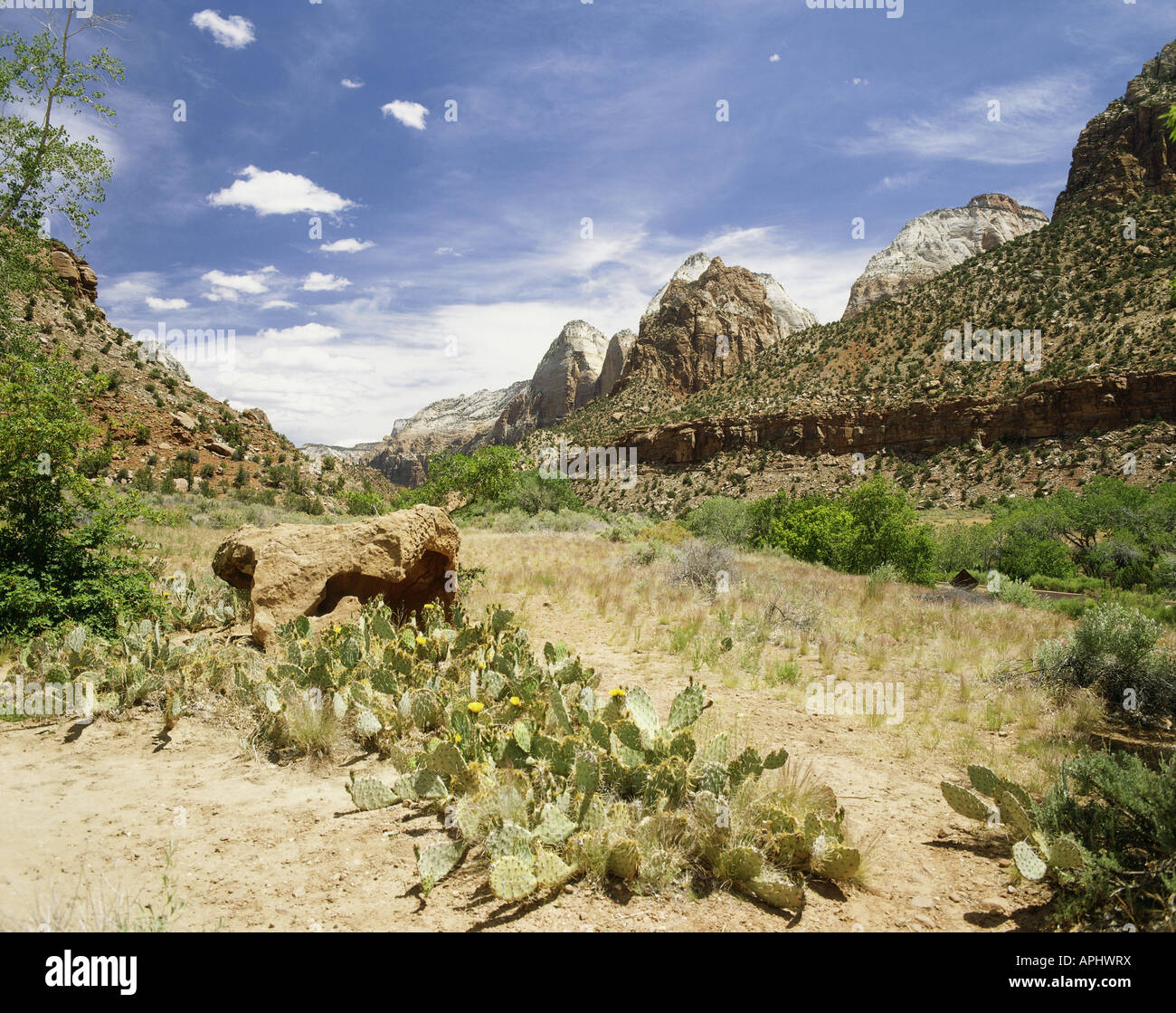 geography / travel, USA, Utah, Zion National Park, special geological ...