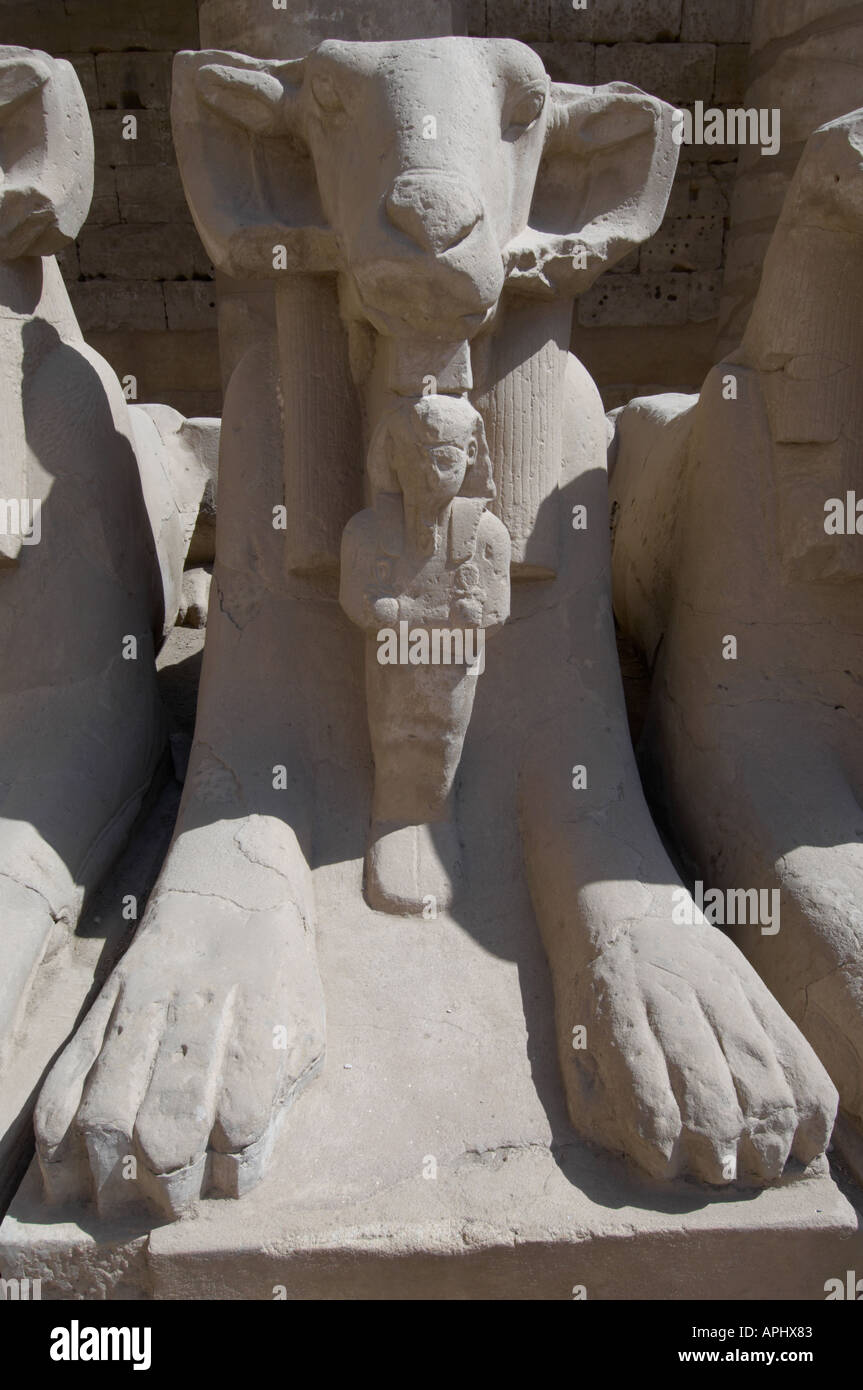 Ram-headed sphinx, Karnak, Luxor, Egypt Stock Photo - Alamy